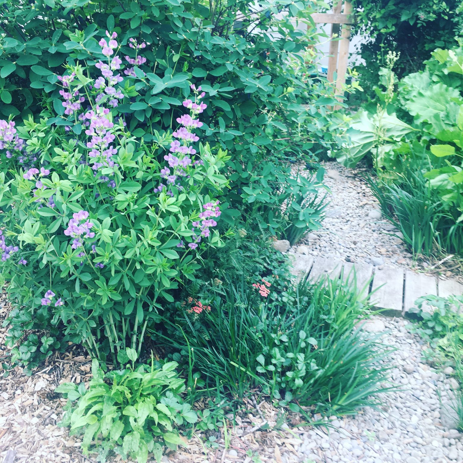 Harness The Edge Effect for Garden Diversity and Community Resilience ...